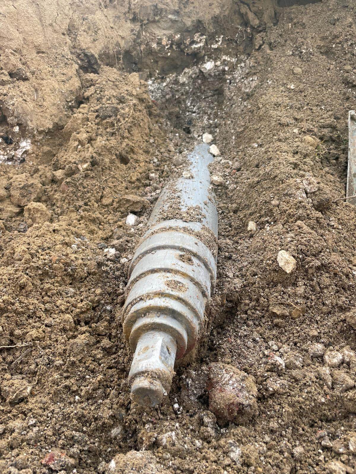 How Moling Protects the Environment During Development